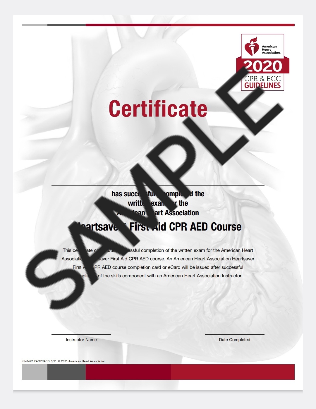 CPR Training